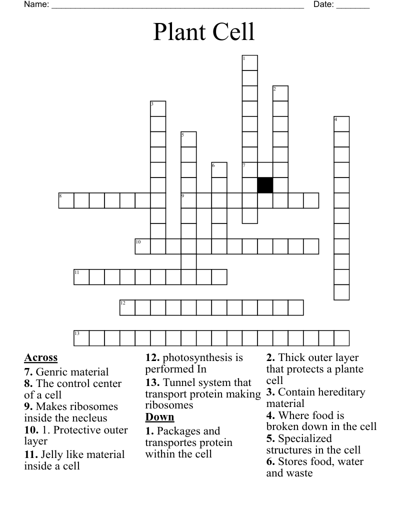 Plant Cell Crossword - WordMint