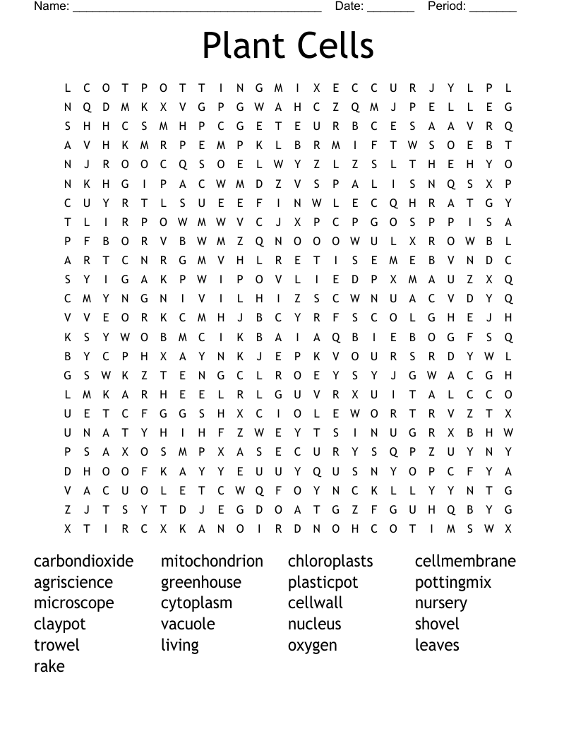 Plant Cells Word Search - WordMint