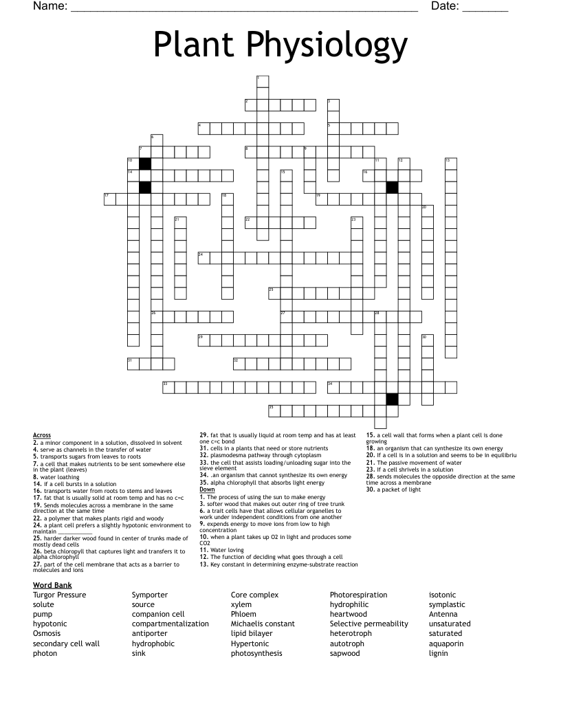 Plant Physiology Crossword - WordMint