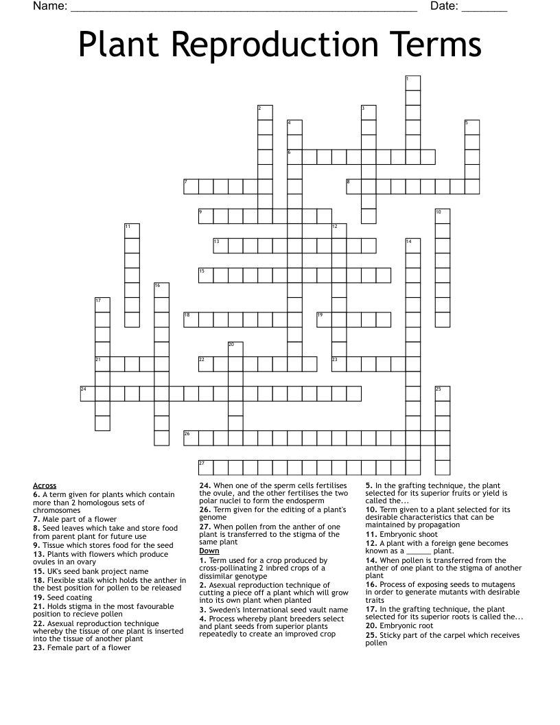 Propigation Word Search WordMint