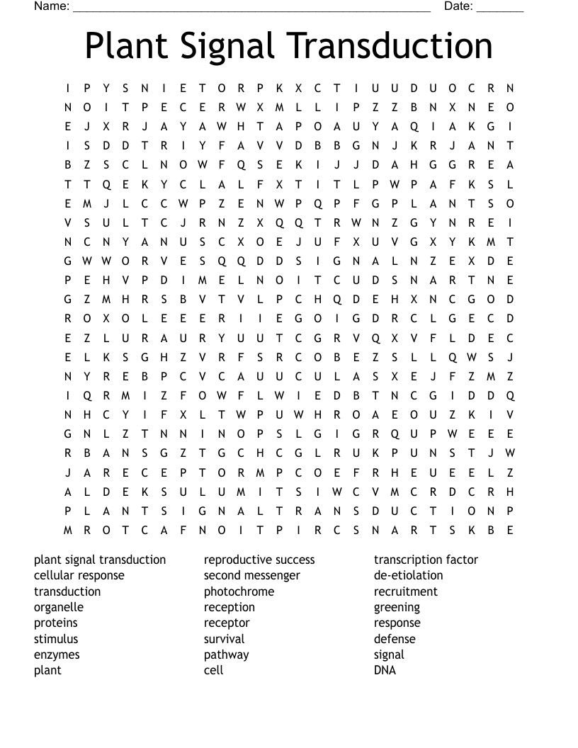 Plant Signal Transduction Word Search - WordMint