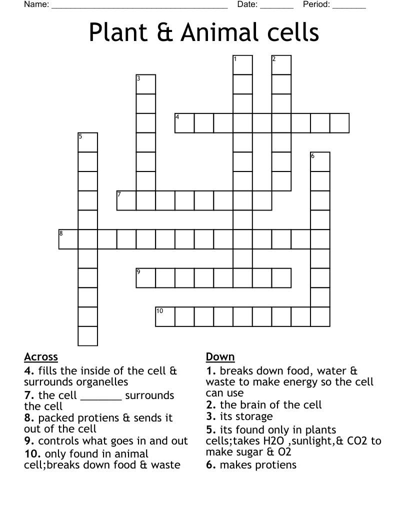 Plant Animal Cells Crossword WordMint plant-animal-cells-crossword-wordmint