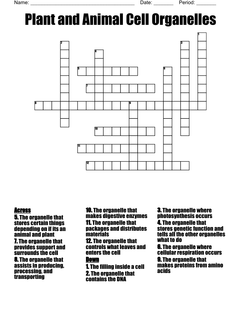 Plant and Animal Cell Organelles Crossword - WordMint
