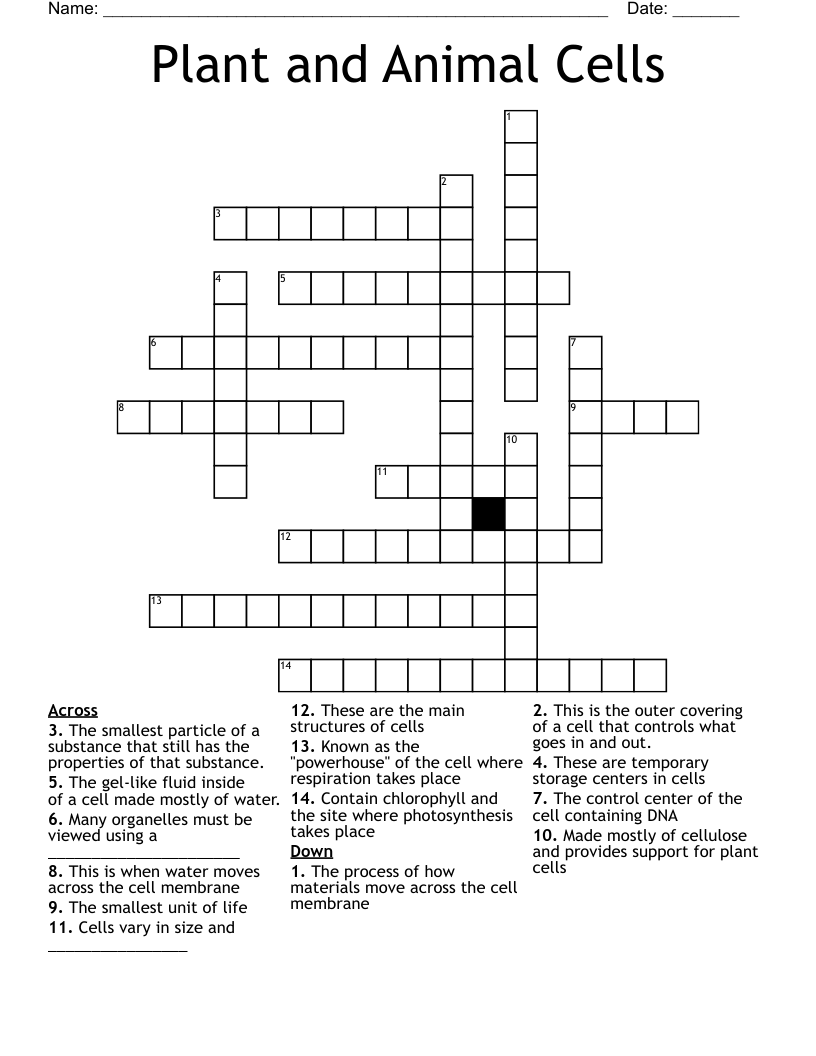 Plant and Animal Cells Crossword - WordMint