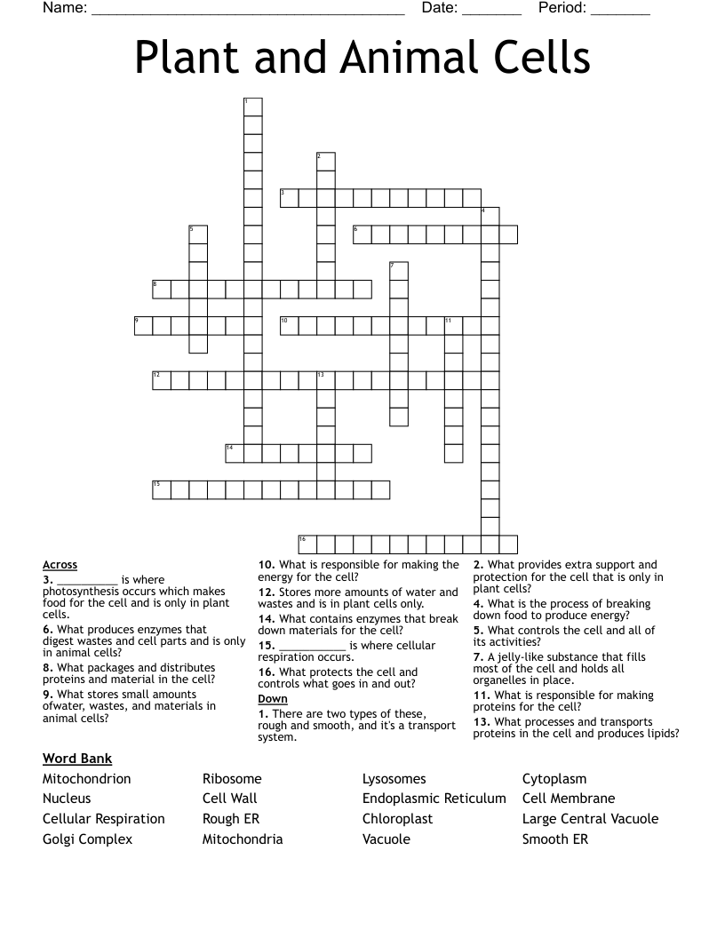 Plant and Animal Cells Crossword - WordMint