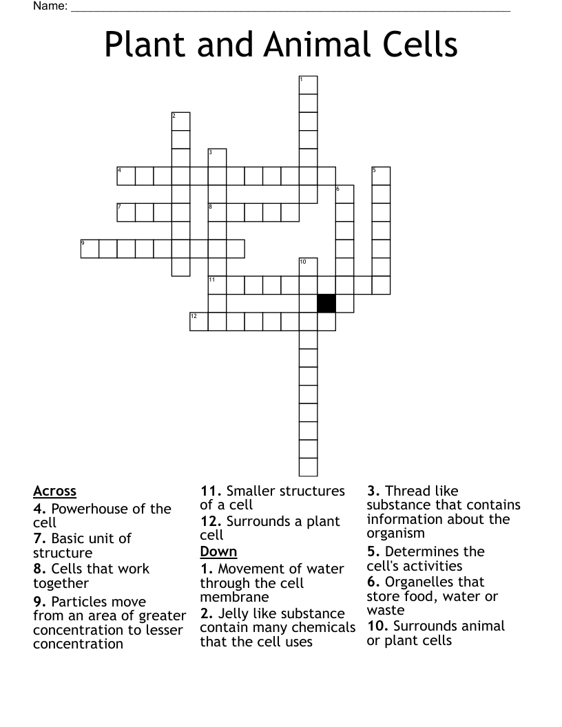 Plant and Animal Cells Crossword - WordMint