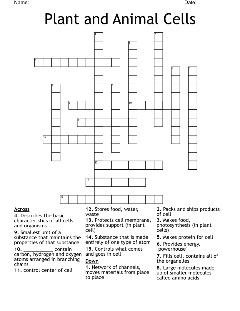 Plant and Animal Cells Crossword - WordMint