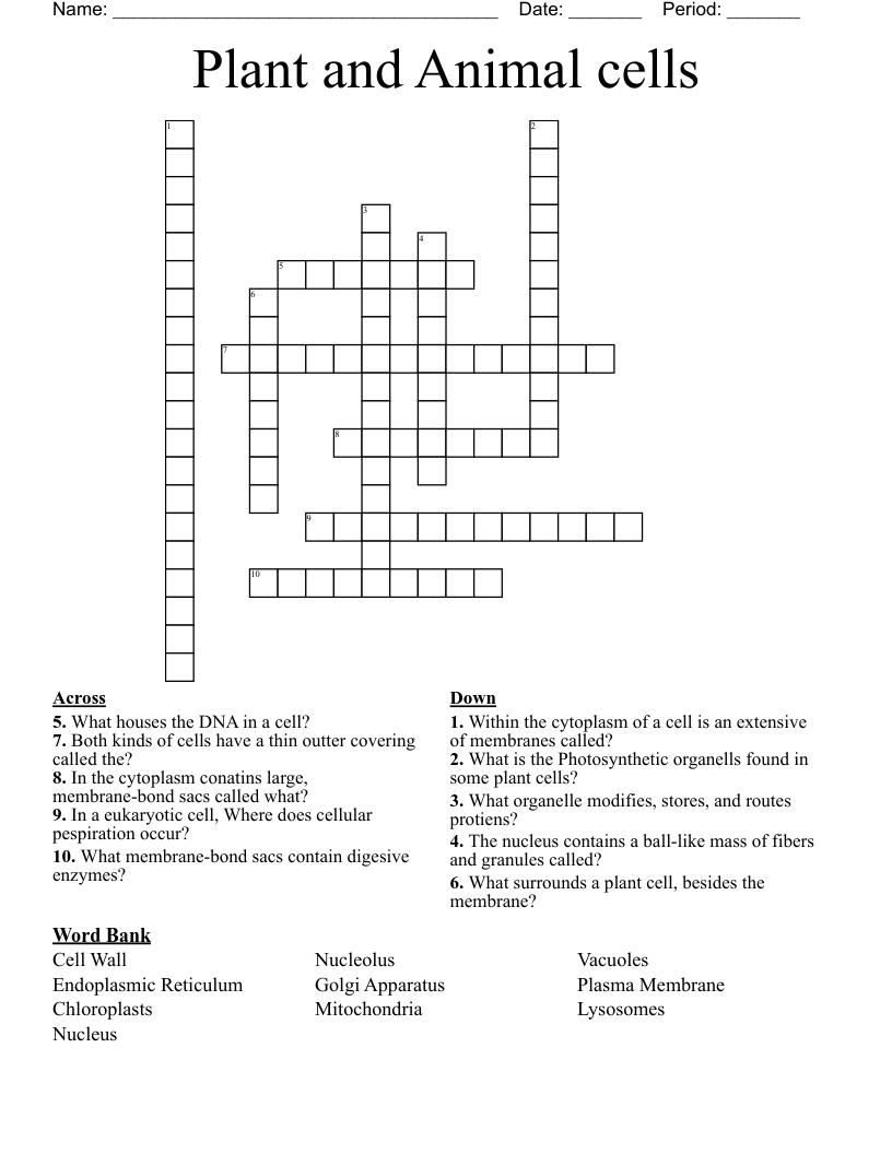 Plant and Animal cells Crossword - WordMint