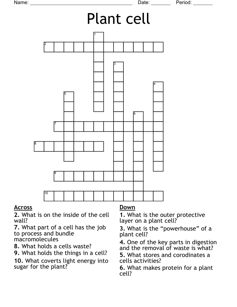 Plant cell Crossword - WordMint