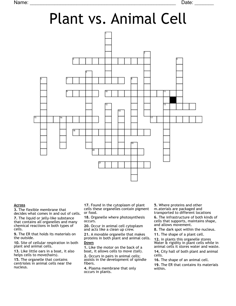 Plant And Animal Cell Vocabulary Crossword Wordmint Bank2home