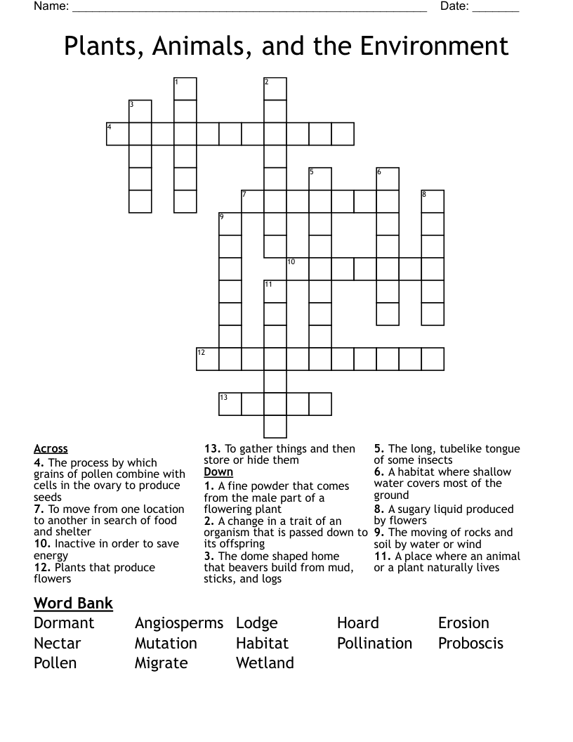 Plants, Animals, and the Environment Crossword - WordMint