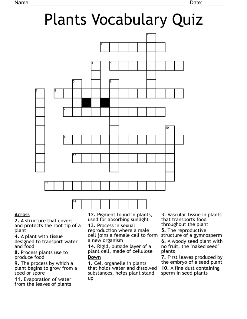 Plants Vocabulary Quiz Crossword - WordMint