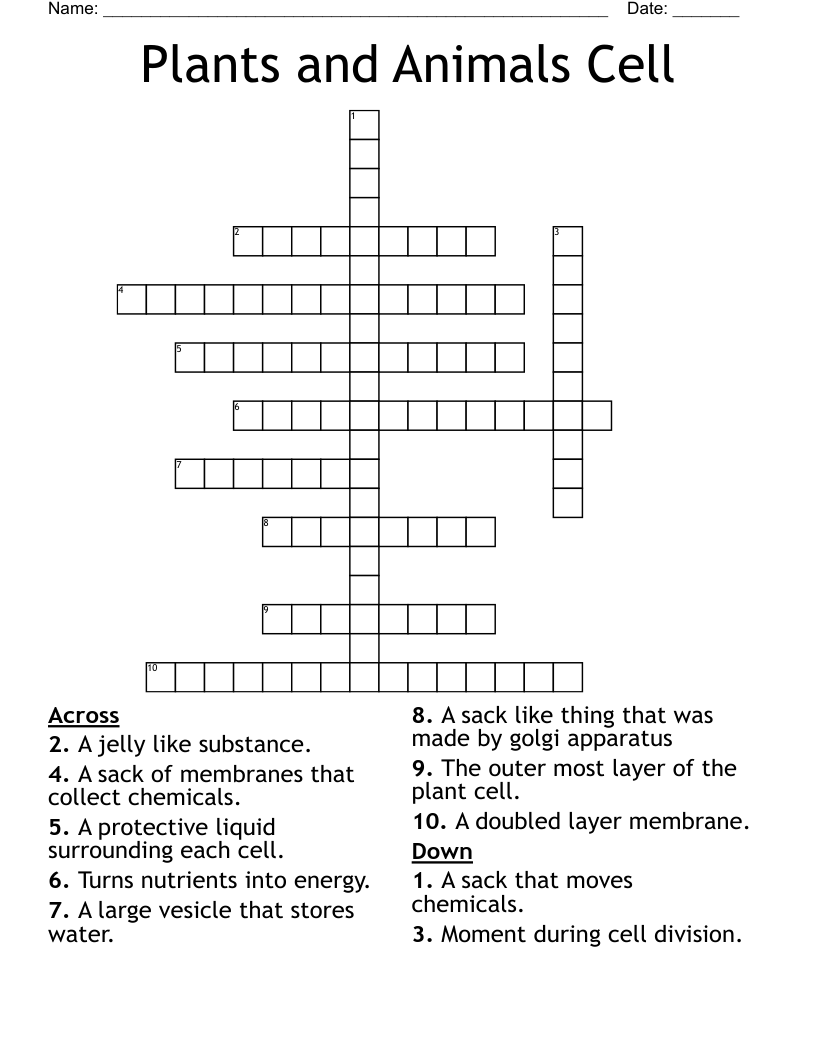 Plants and Animals Cell Crossword - WordMint