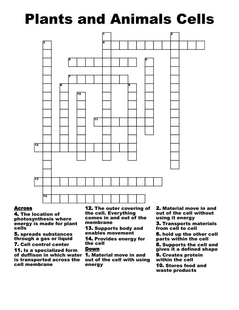 Plants and Animals Cells Crossword - WordMint
