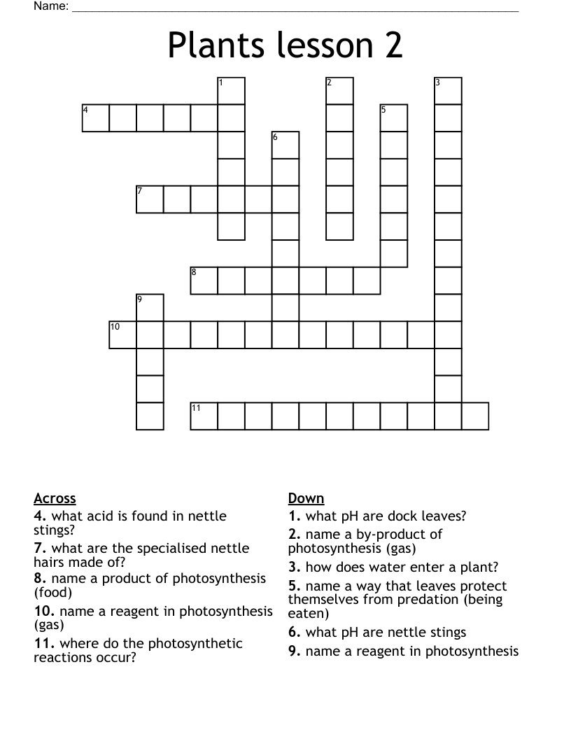 Plants lesson 2 Crossword - WordMint
