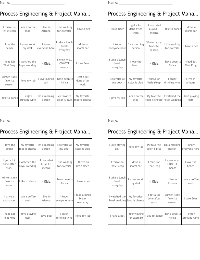 Process Engineering & Project Management TEAM Bingo - WordMint