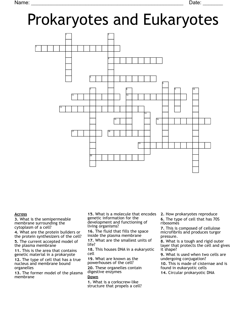 Prokaryotes and Eukaryotes Crossword - WordMint