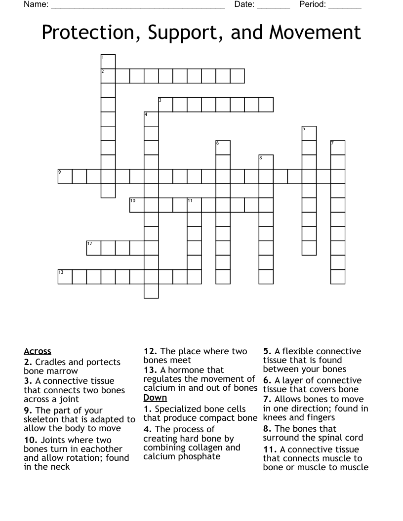 Protection, Support, and Movement Crossword - WordMint