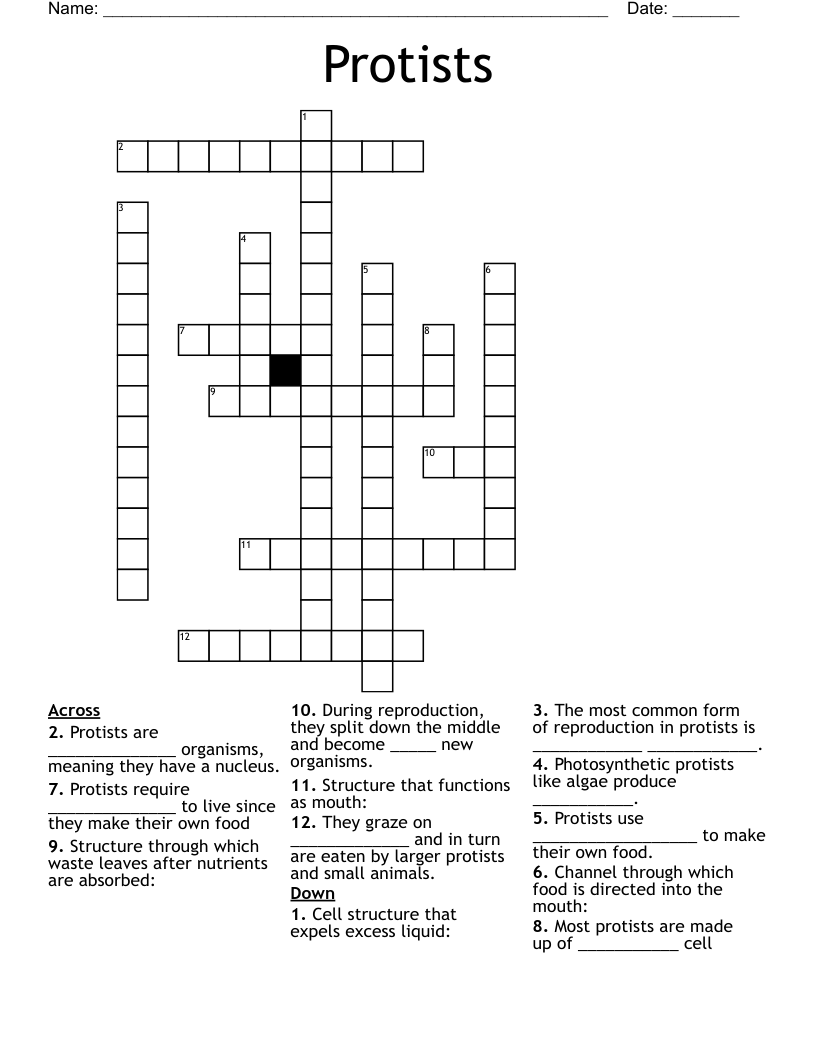 Protists Crossword - WordMint