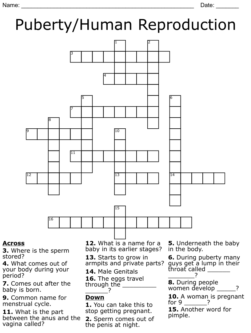 Puberty Crossword