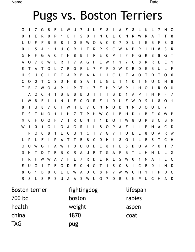 Pugs vs. Boston Terriers Word Search - WordMint