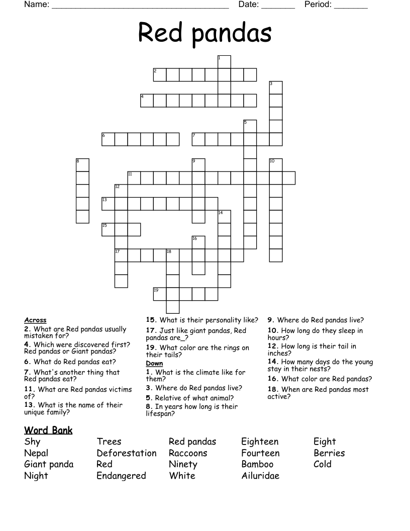 Pandas Word Search WordMint