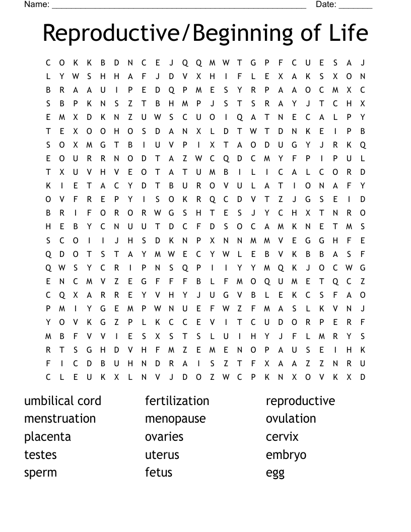 Reproductive/Beginning of Life Word Search - WordMint