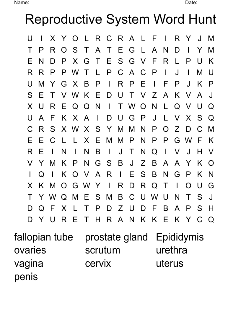 Reproductive System Word Hunt Word Search - WordMint
