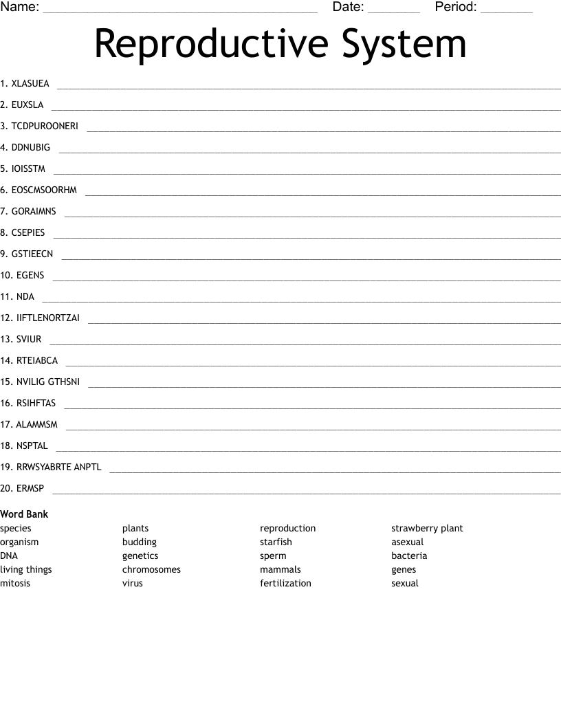 Reproductive System Word Scramble - WordMint