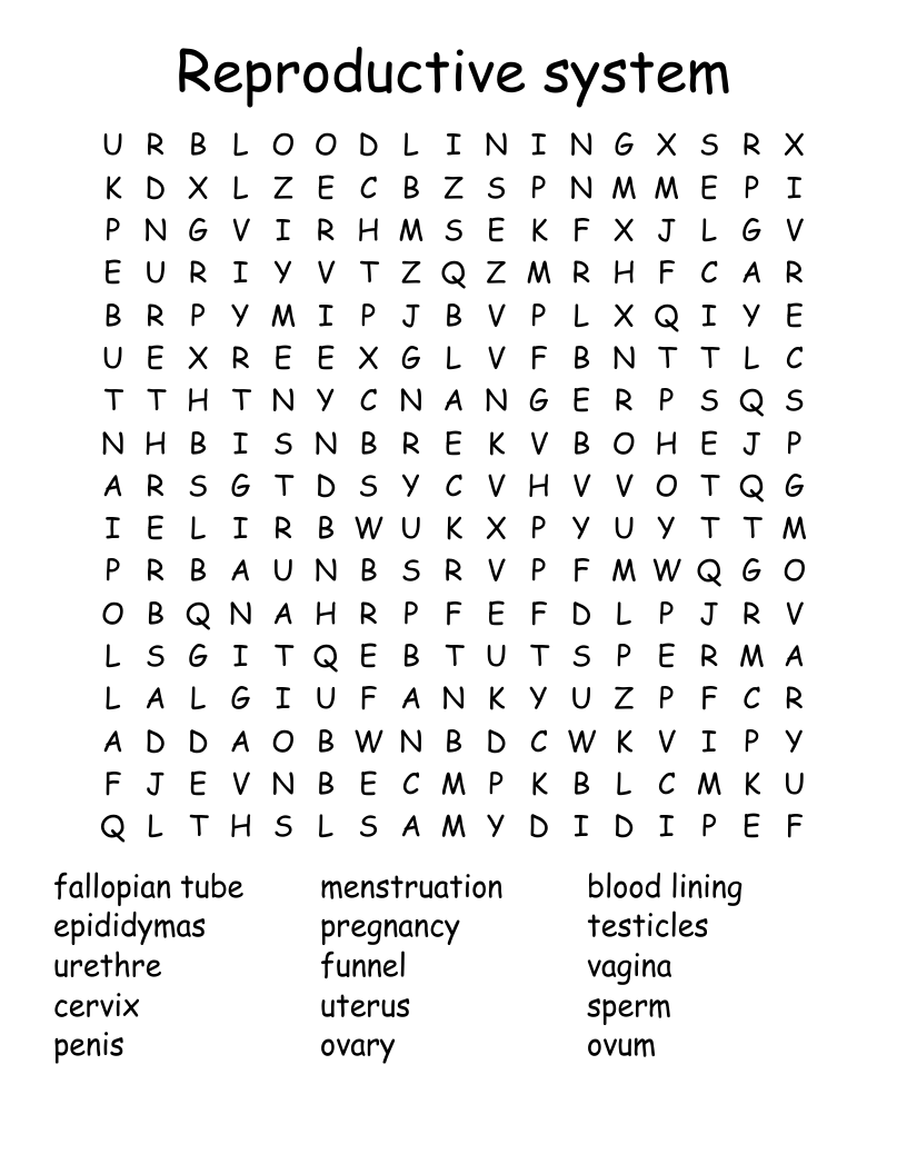 Reproductive system Word Search - WordMint