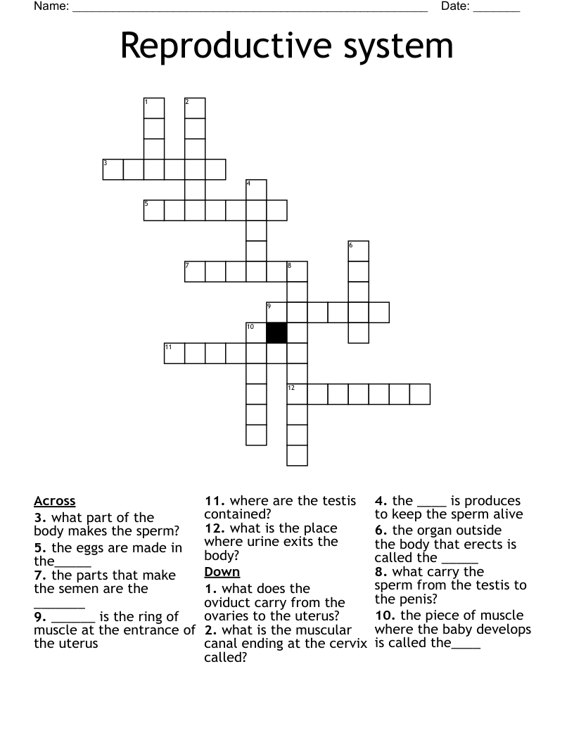 Reproductive system Crossword - WordMint