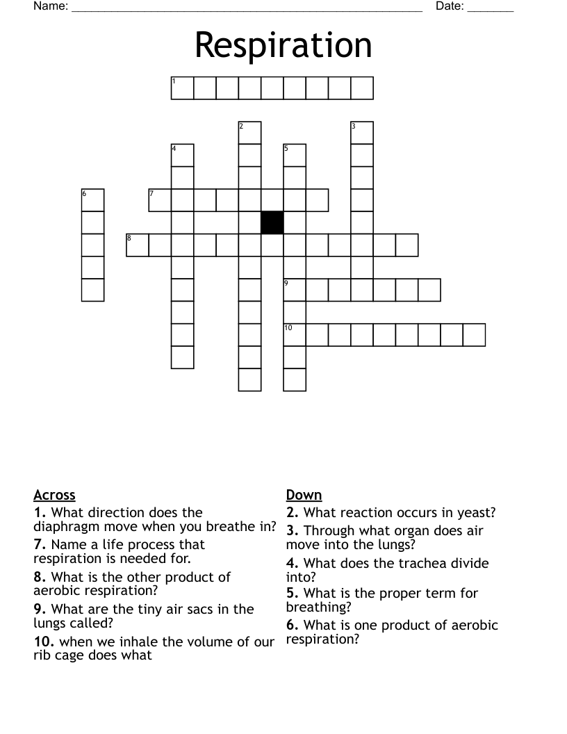 Respiration Crossword WordMint