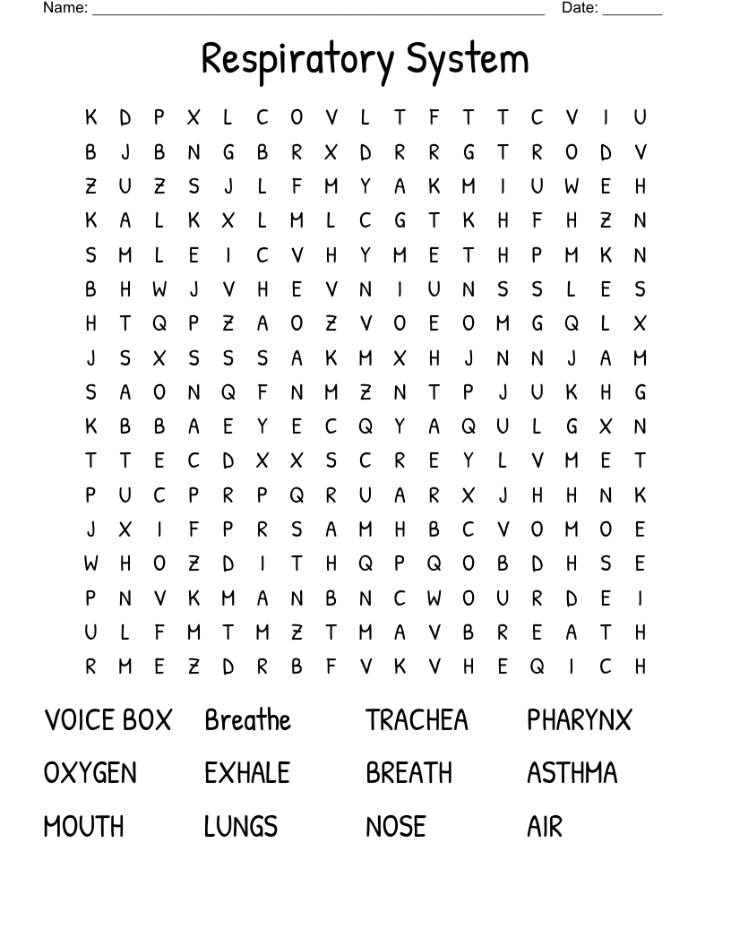 Respiratory System Word Search - WordMint