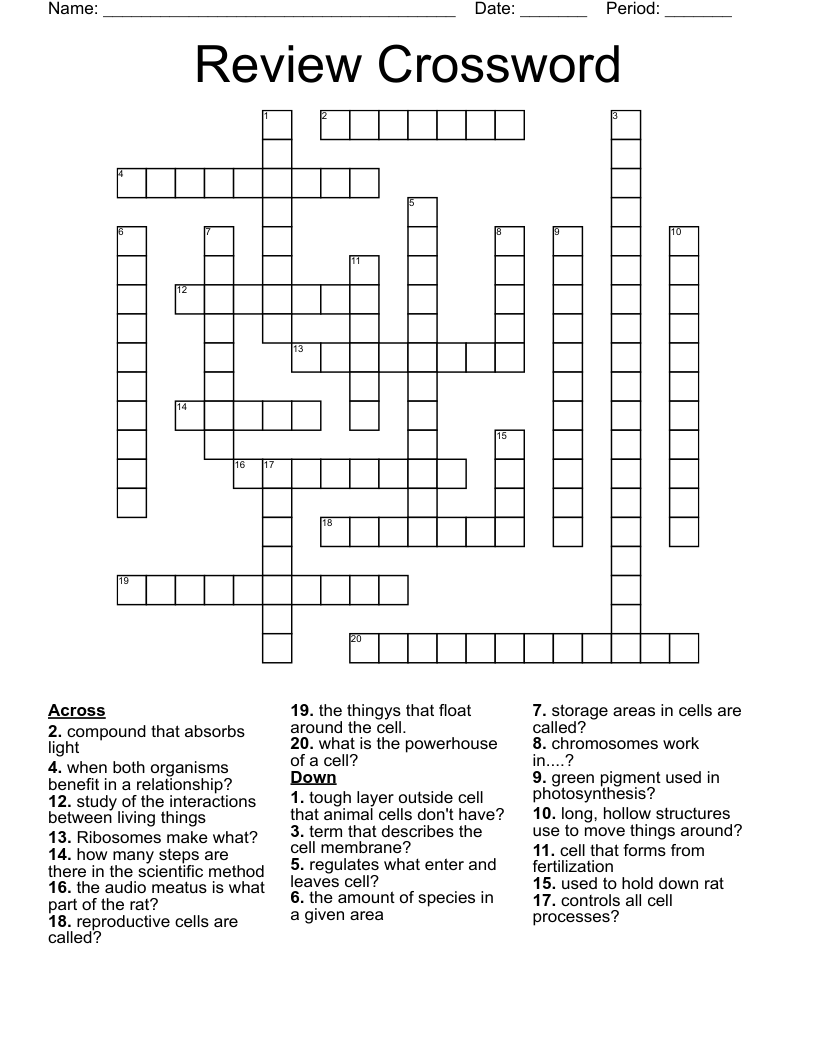Review Crossword - WordMint