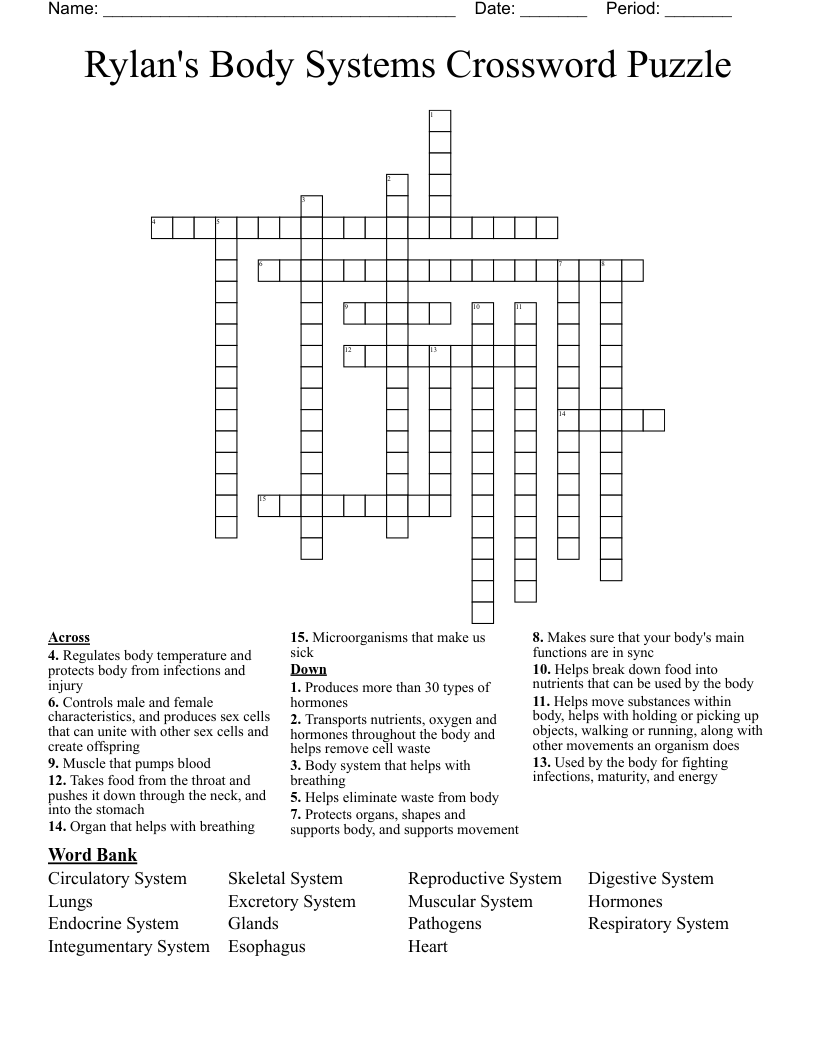Rylan's Body Systems Crossword Puzzle - WordMint