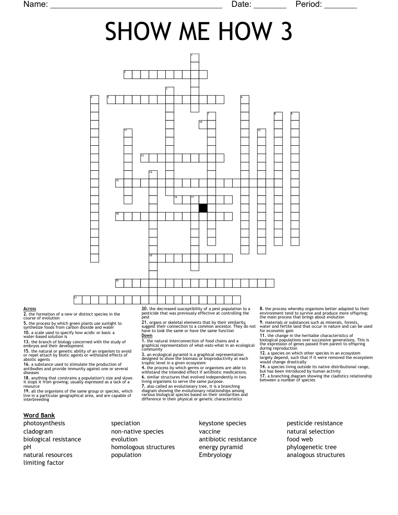 SHOW ME HOW 3 Crossword WordMint