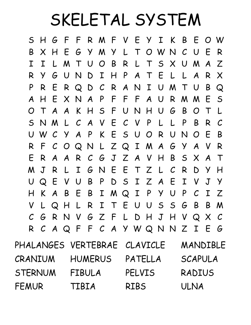 SKELETAL SYSTEM Word Search WordMint