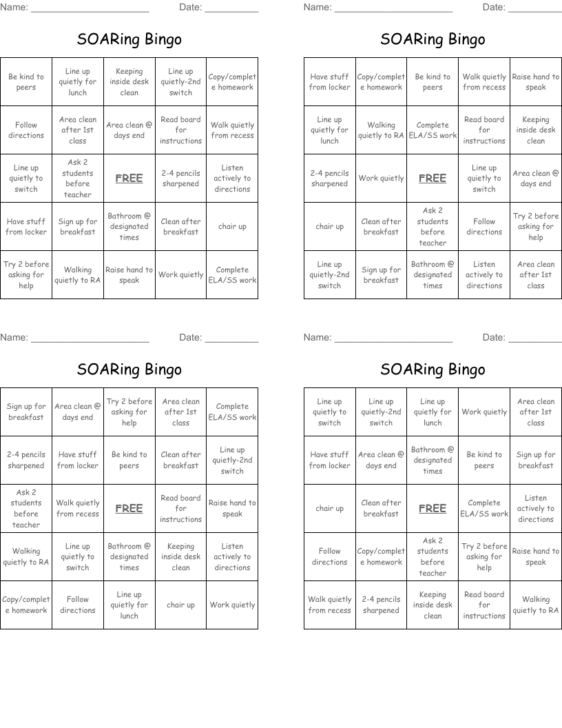 SOARing Bingo - WordMint