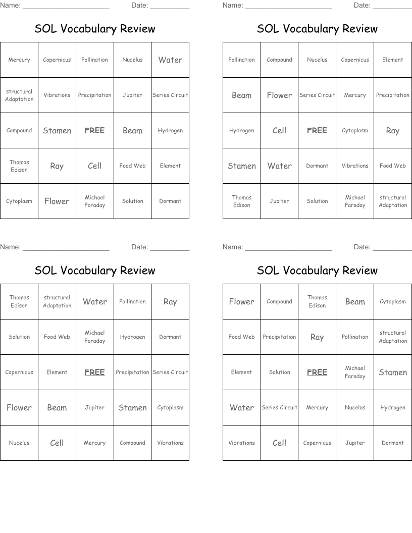 SOL Vocabulary Review Bingo Cards - WordMint