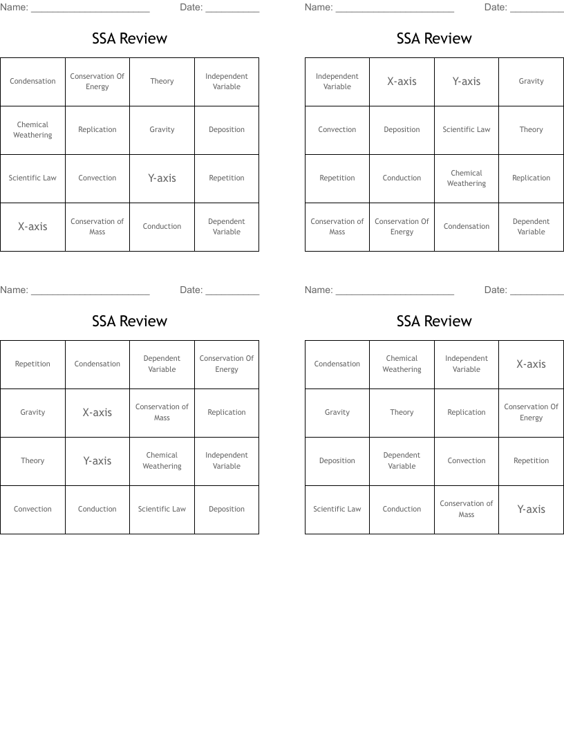 SSA Review Bingo Cards - WordMint