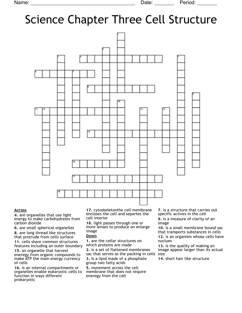 Science Chapter Three Cell Structure Crossword - WordMint