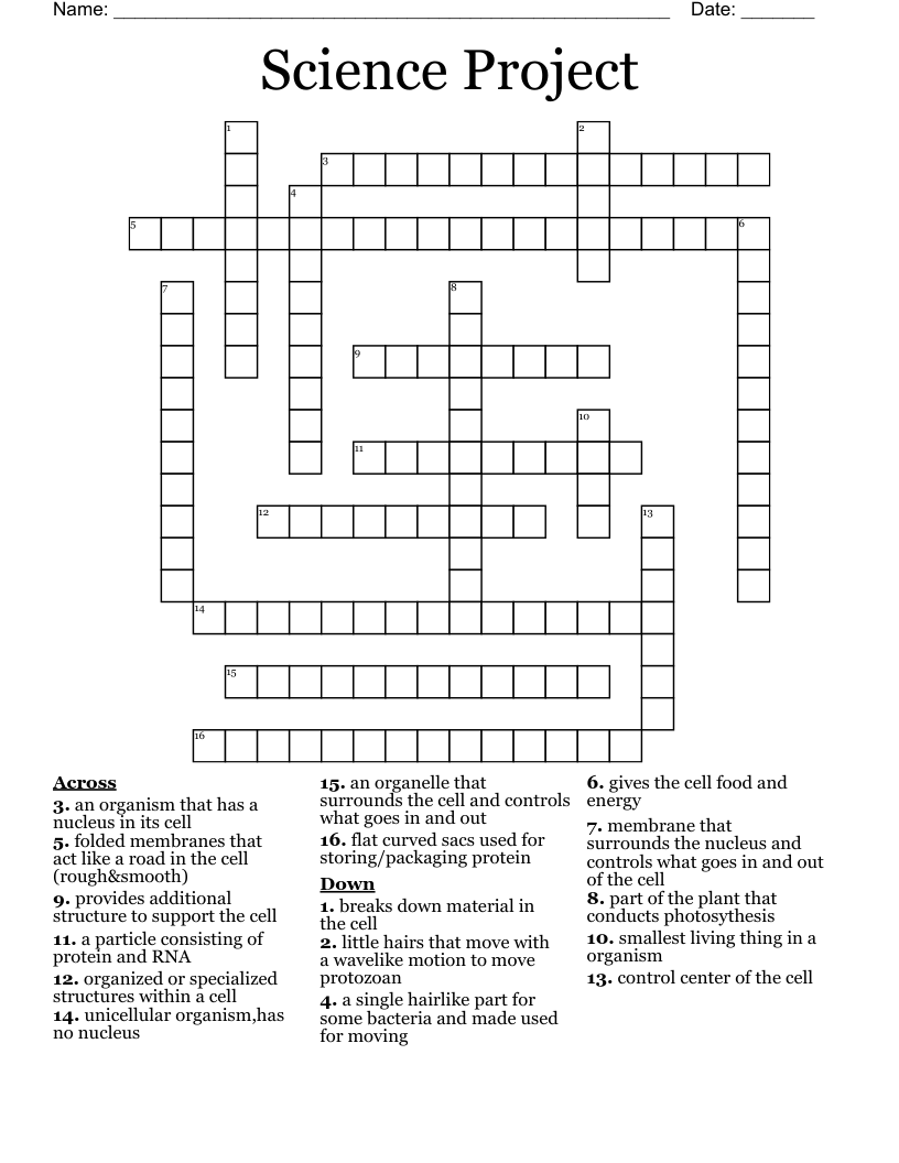 Science Project Crossword - WordMint
