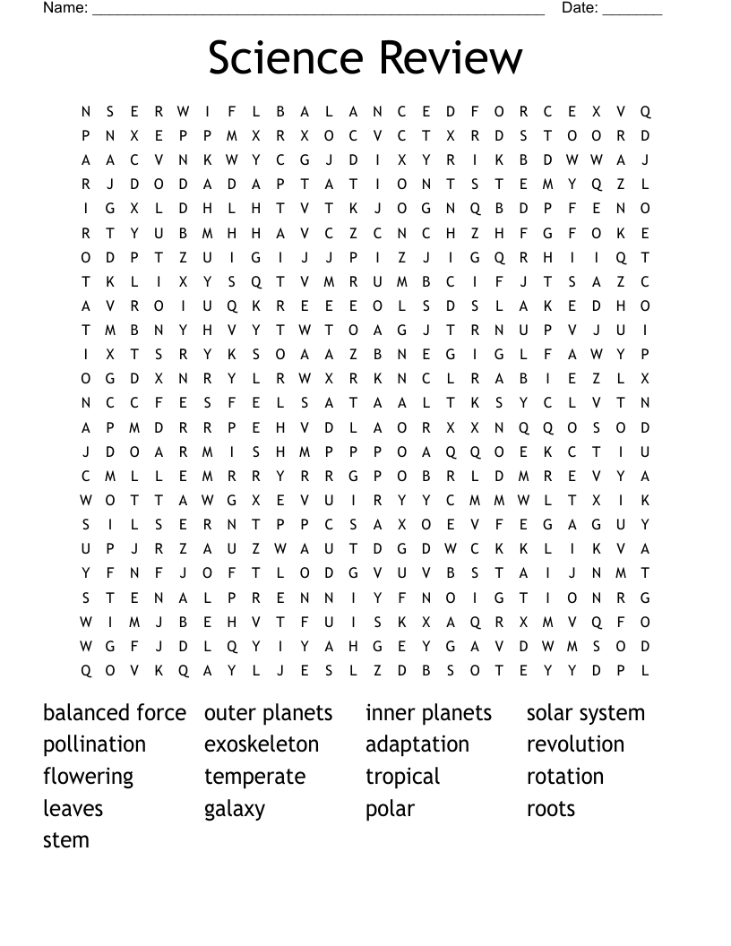 Science Review Word Search - WordMint