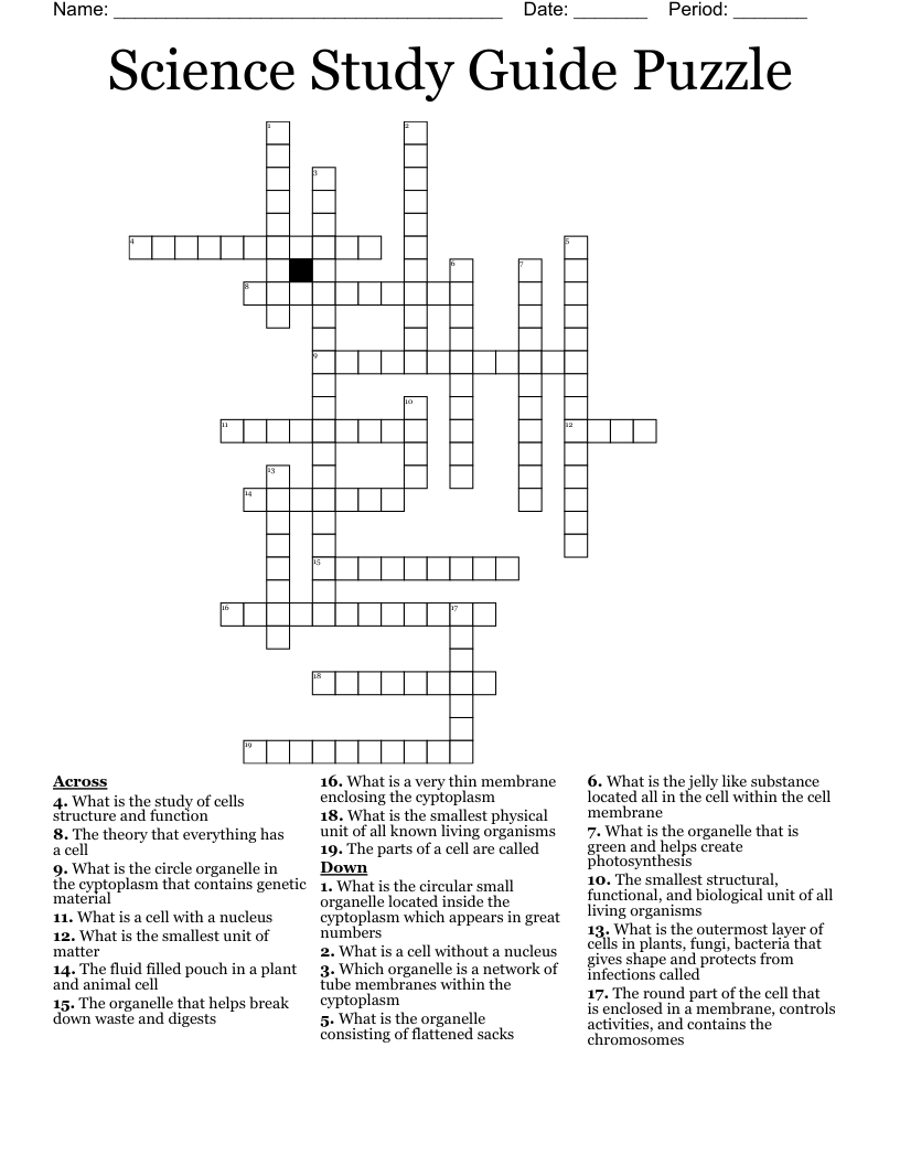 Science Study Guide Puzzle Crossword - WordMint