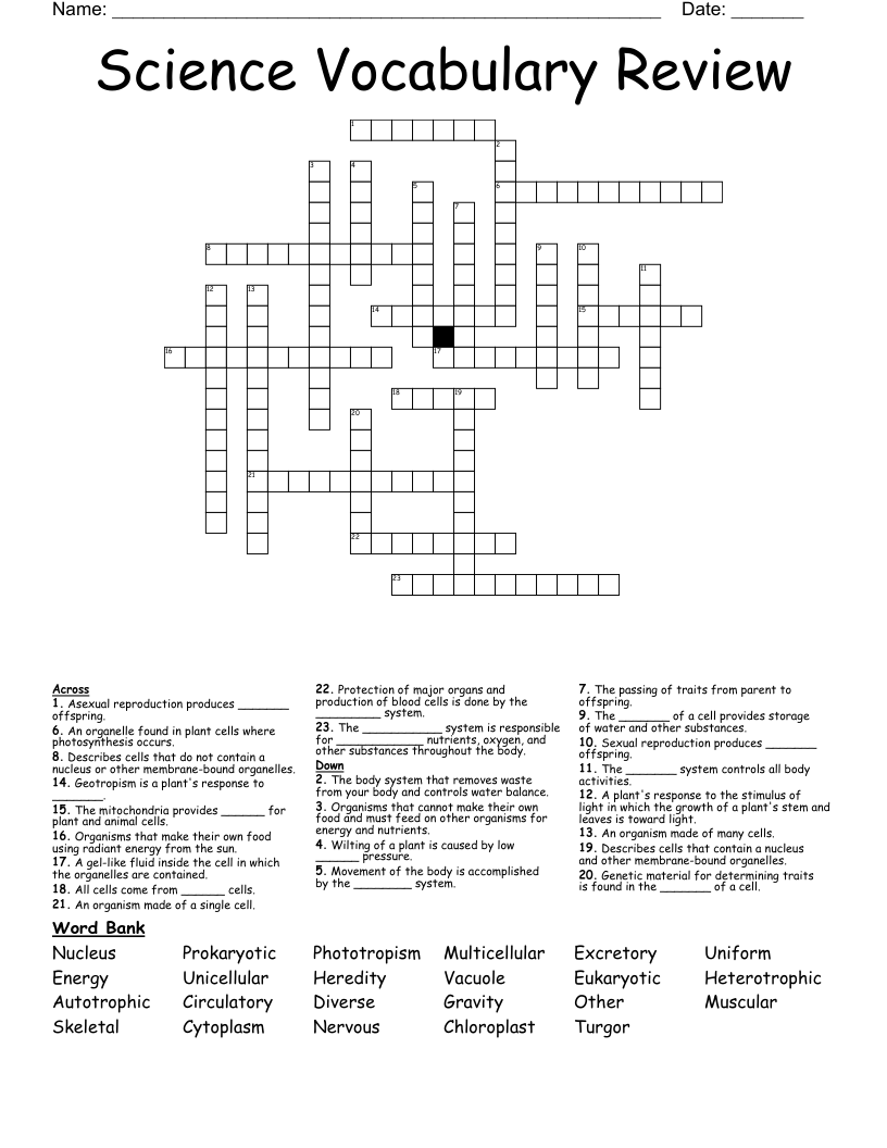 Science Vocabulary Review Crossword - WordMint