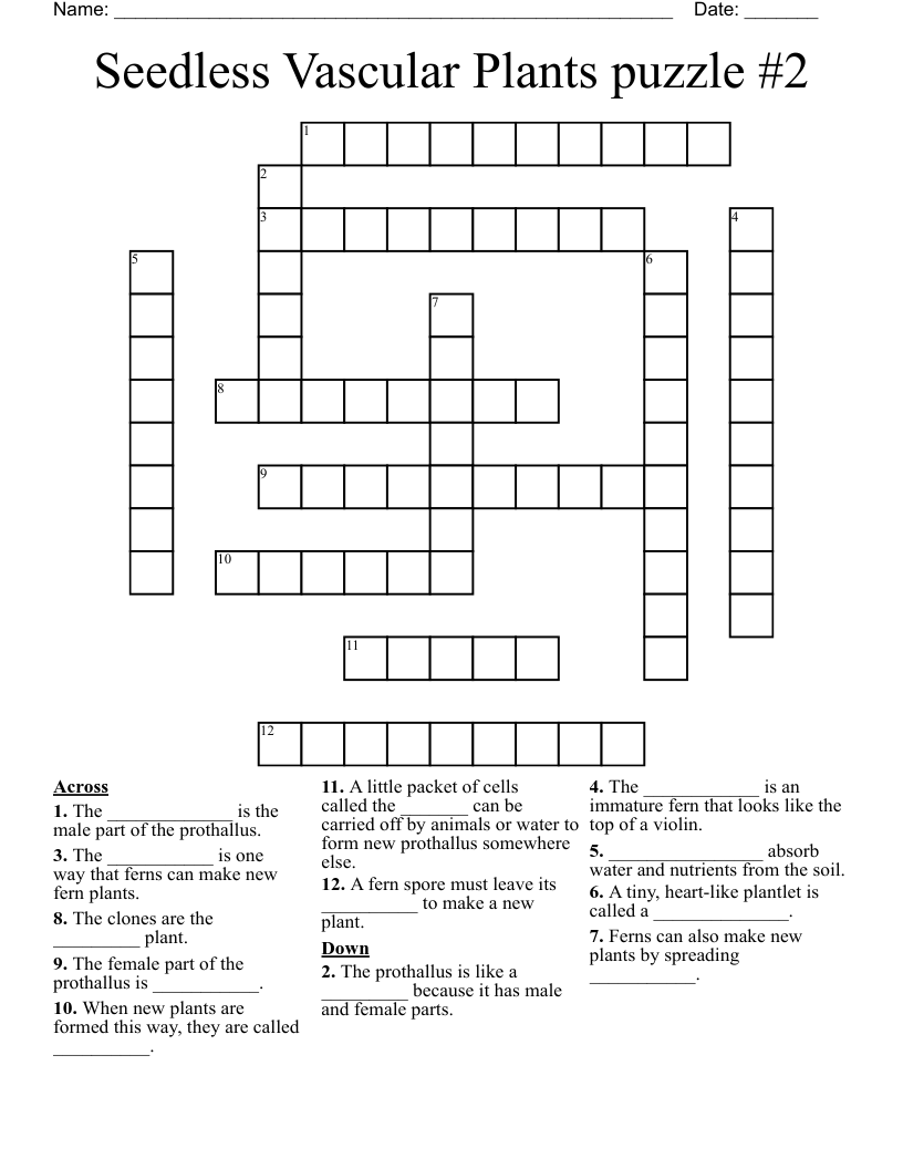 Seedless Vascular Plants puzzle #2 Crossword - WordMint