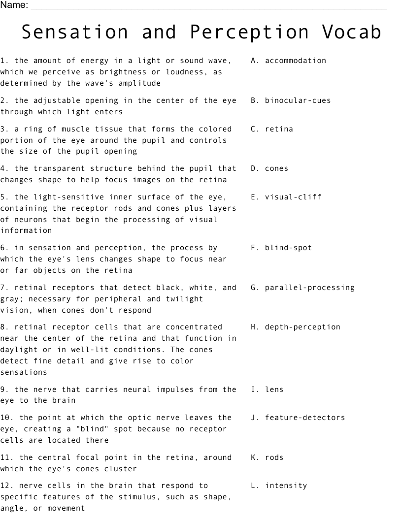 Sensation And Perception Vocab Worksheet WordMint