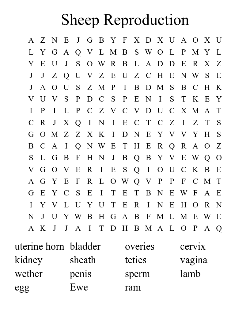 Sheep Reproduction Word Search - WordMint