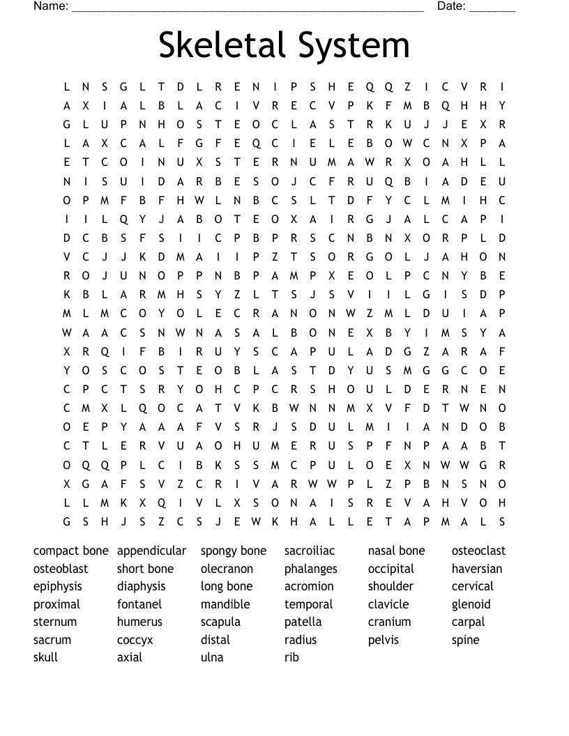 Skeletal System Word Search WordMint