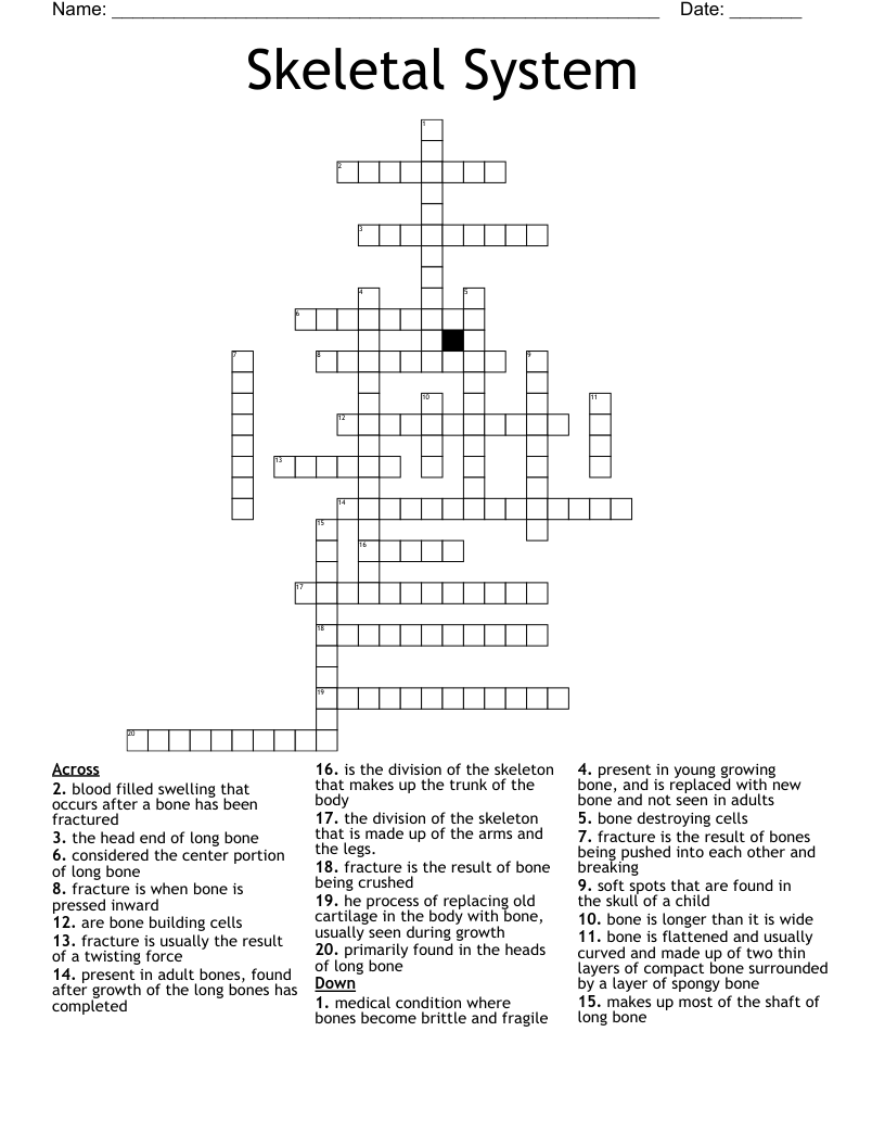 Skeletal System Crossword WordMint skeletal-system-crossword-wordmint